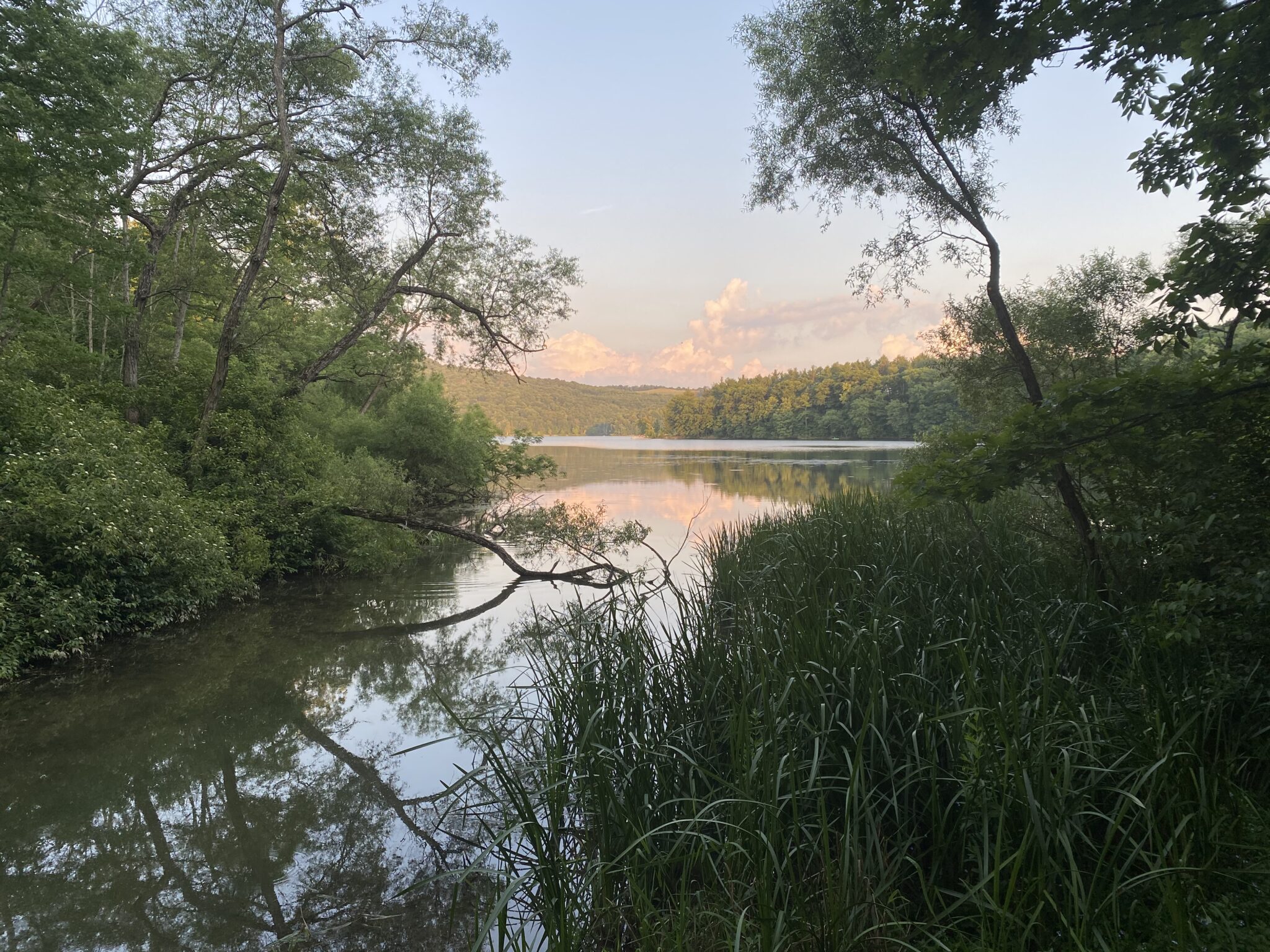 Quemahoning Dam Vacation Rental - Karbelle Cabin